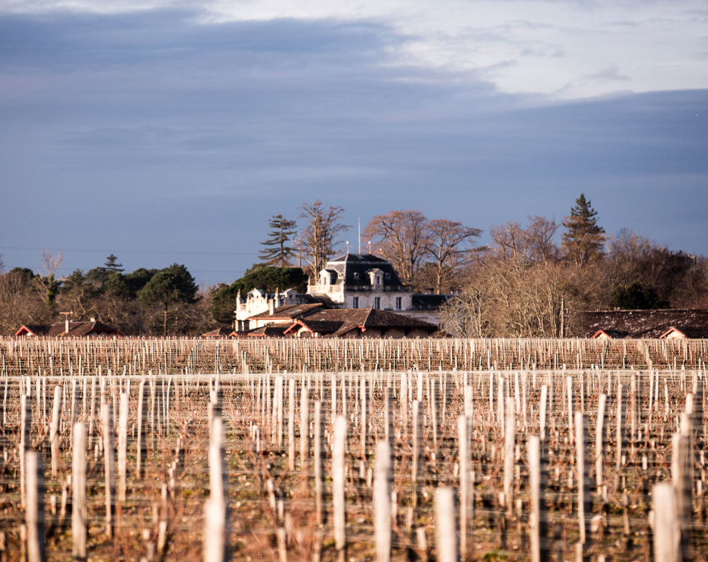 CVBG / Fine wine distribution